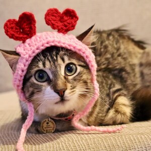 Crochet Pattern: Valentines Day Heart Headband for Cats With Ear Holes ...