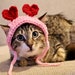 Crochet Pattern: Valentines Day Heart Headband for Cats With Ear Holes ...