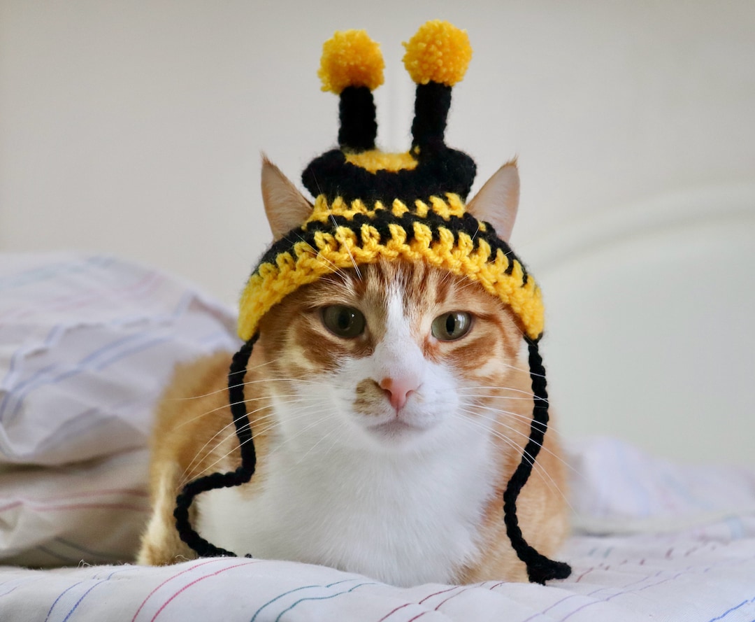Bee Hat for Cats, Bumble Bee Cat Accessory / Costume, Yellow and Black ...