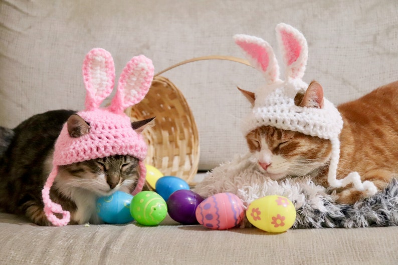 Bunny Ears for Cats Easter Bunny Costume for Cats Easter - Etsy