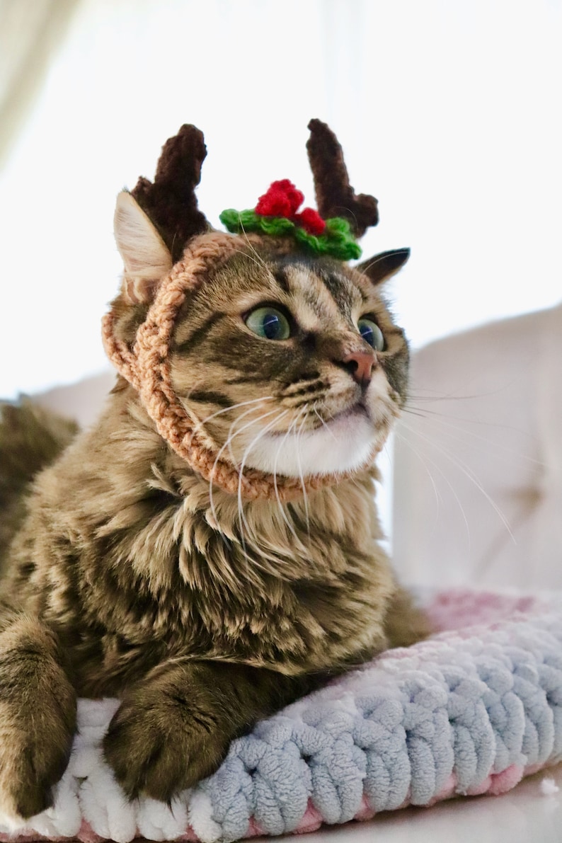 Reindeer Cat Hat Cat Reindeer Antlers Reindeer Horns for - Etsy
