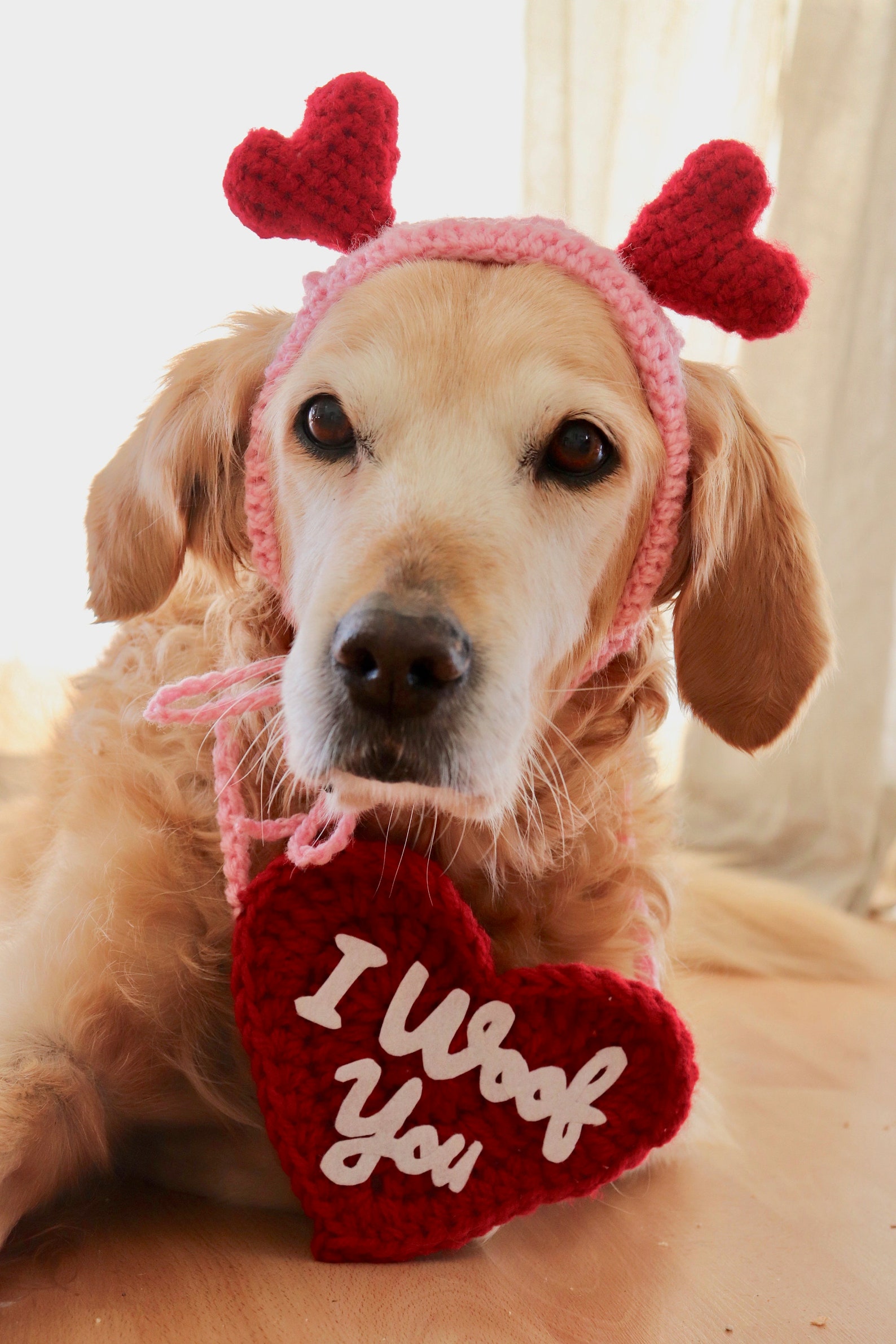 Valentines Day Hearts for Dogs Heart Headband / Hat for Large | Etsy