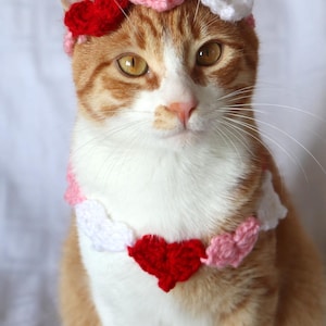 Heart Headband for Cats, Valentine's Day Cat Accessories, Cat Photo ...