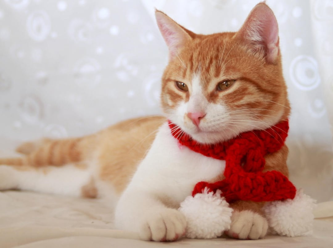 Cat Scarf, Christmas Scarf for Cats, Pom Pom Cat Scarf, Adjustable Cat ...