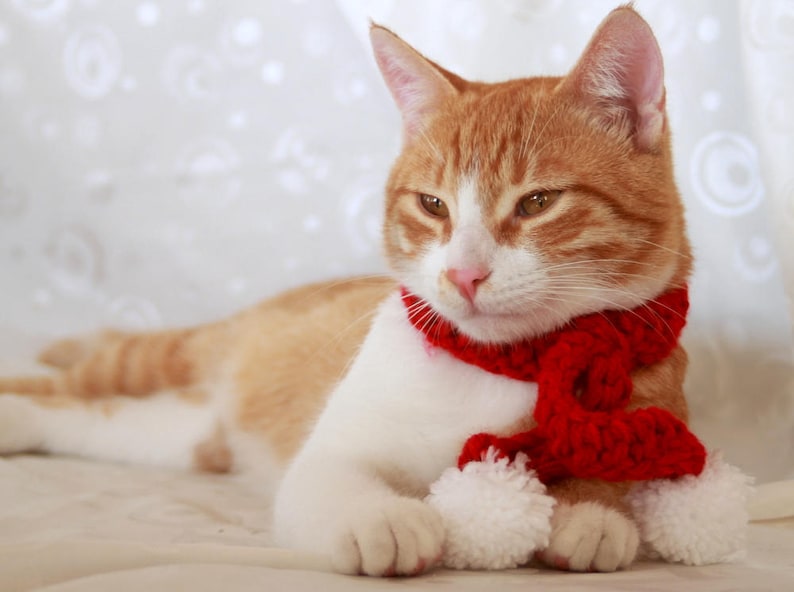 Bufanda de gato bufanda de Navidad para gatos bufanda pom - Etsy España