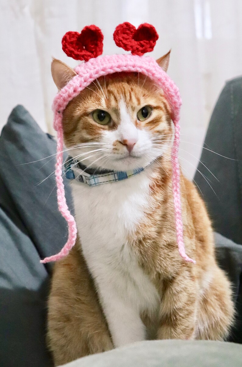 Crochet Pattern: Valentines Day Heart Headband for Cats With - Etsy Canada