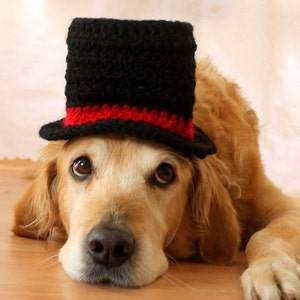 Top Hat for Dogs With Optional Bow Tie Add On, Custom Colors Available ...