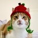 Crochet Apple Hat Pattern for Cats - Extra Small Dogs, Apple Cat Hat ...
