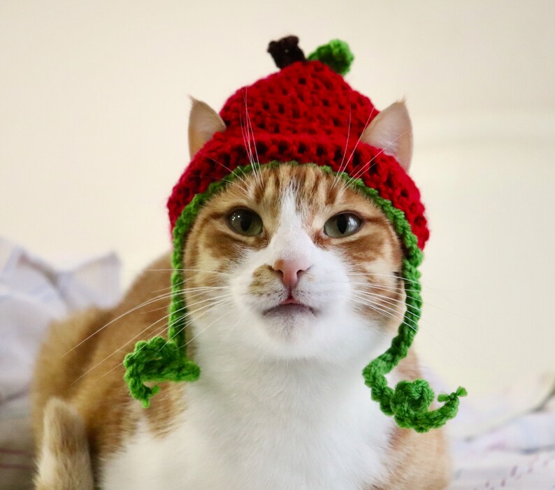 Crochet Apple Hat Pattern for Cats - Extra Small Dogs, Apple Cat Hat ...