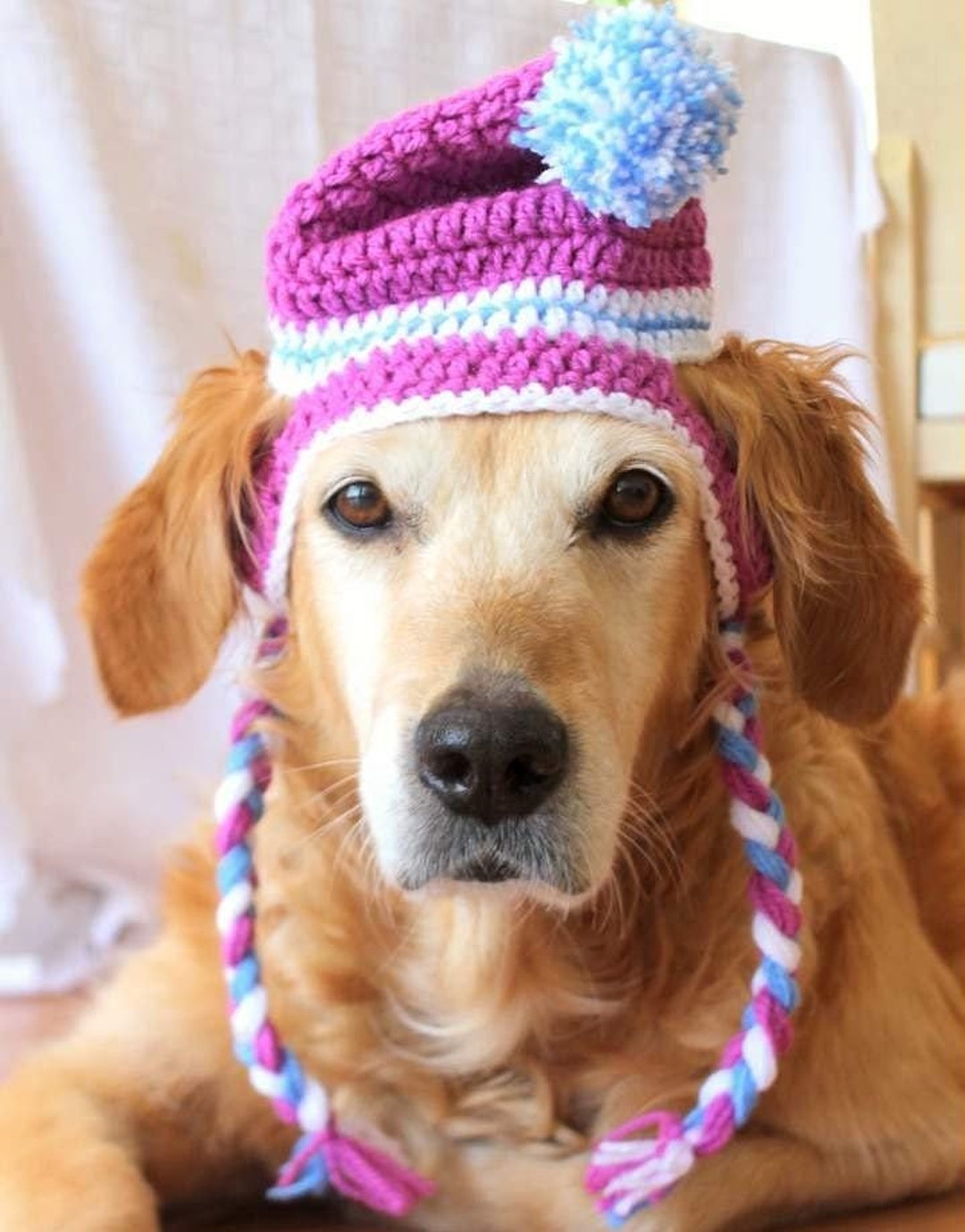 Dog Hat, Ear Flap Dog Hat, Dog Beanie, Pom Pom Hat for Dogs, Toboggan ...