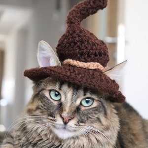 Wizard Cat Hat, Brown or Gray Wizard Hat for Cats With Ear Holes ...