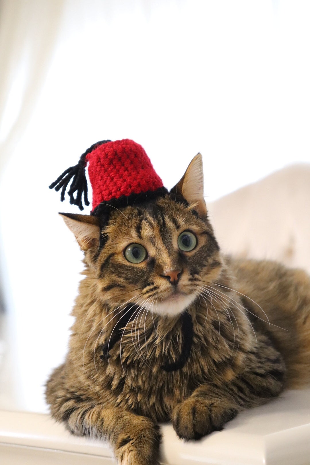 Fez Hat for Cats, Red or Burgundy Cat Fez With Ear Holes, Funny Cat Hat ...