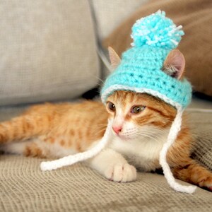 Cat Hat, Beanie for Cats & Kittens, Pom Pom Hat for Male Cats, Bright ...