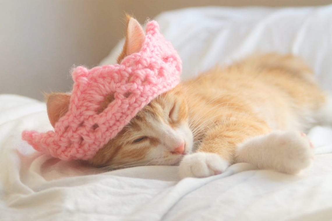 Cat Crown Tiara for Cats and Small Dogs Princess / King / | Etsy