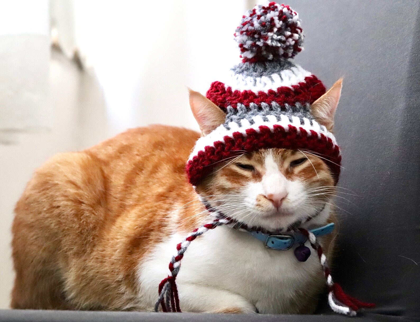 Crochet Pattern: Striped Beanie Hat for Cats | Etsy