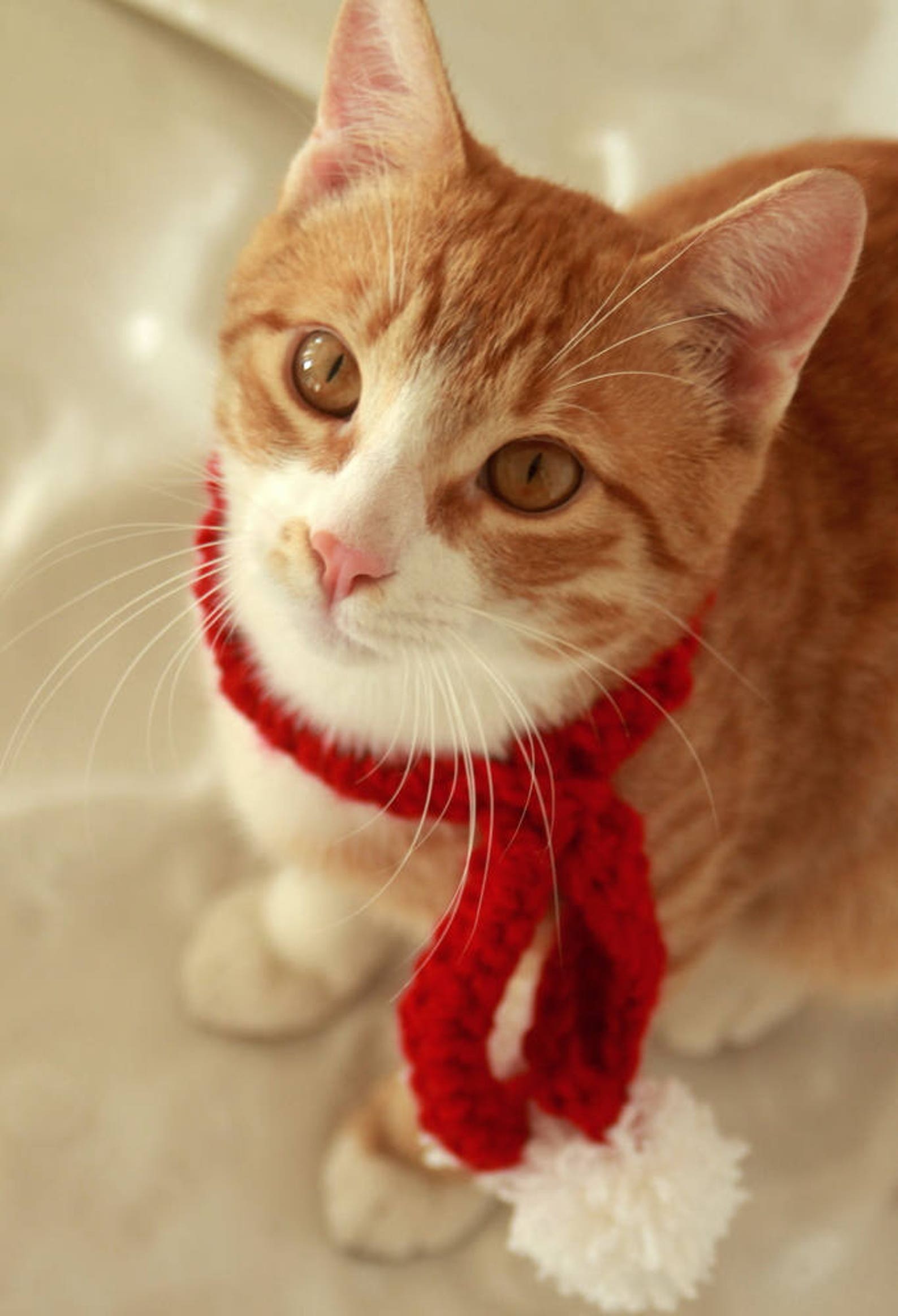 Cat Scarf Christmas Scarf for Cats Pom Pom Cat Scarf | Etsy