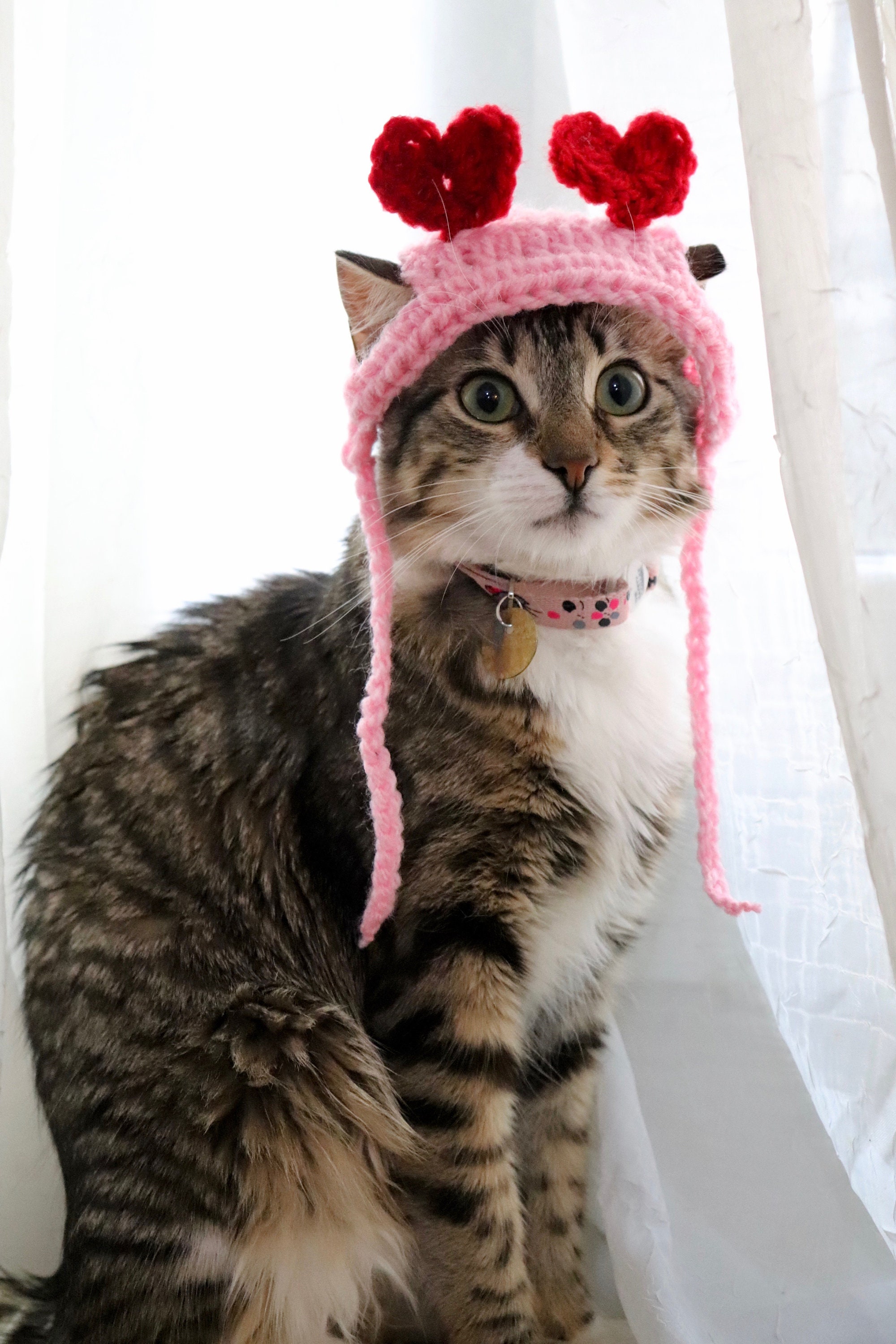 Crochet Pattern: Valentines Day Heart Headband for Cats With - Etsy Canada