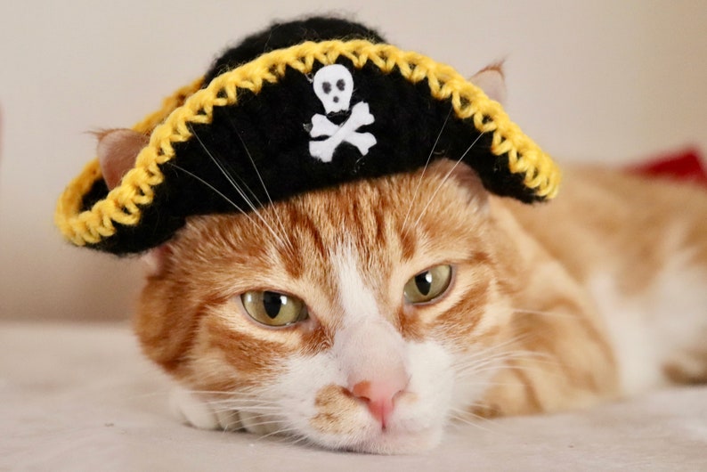 15 Creative Crochet Cat Hat Patterns for Felines (cute!) - Little World ...