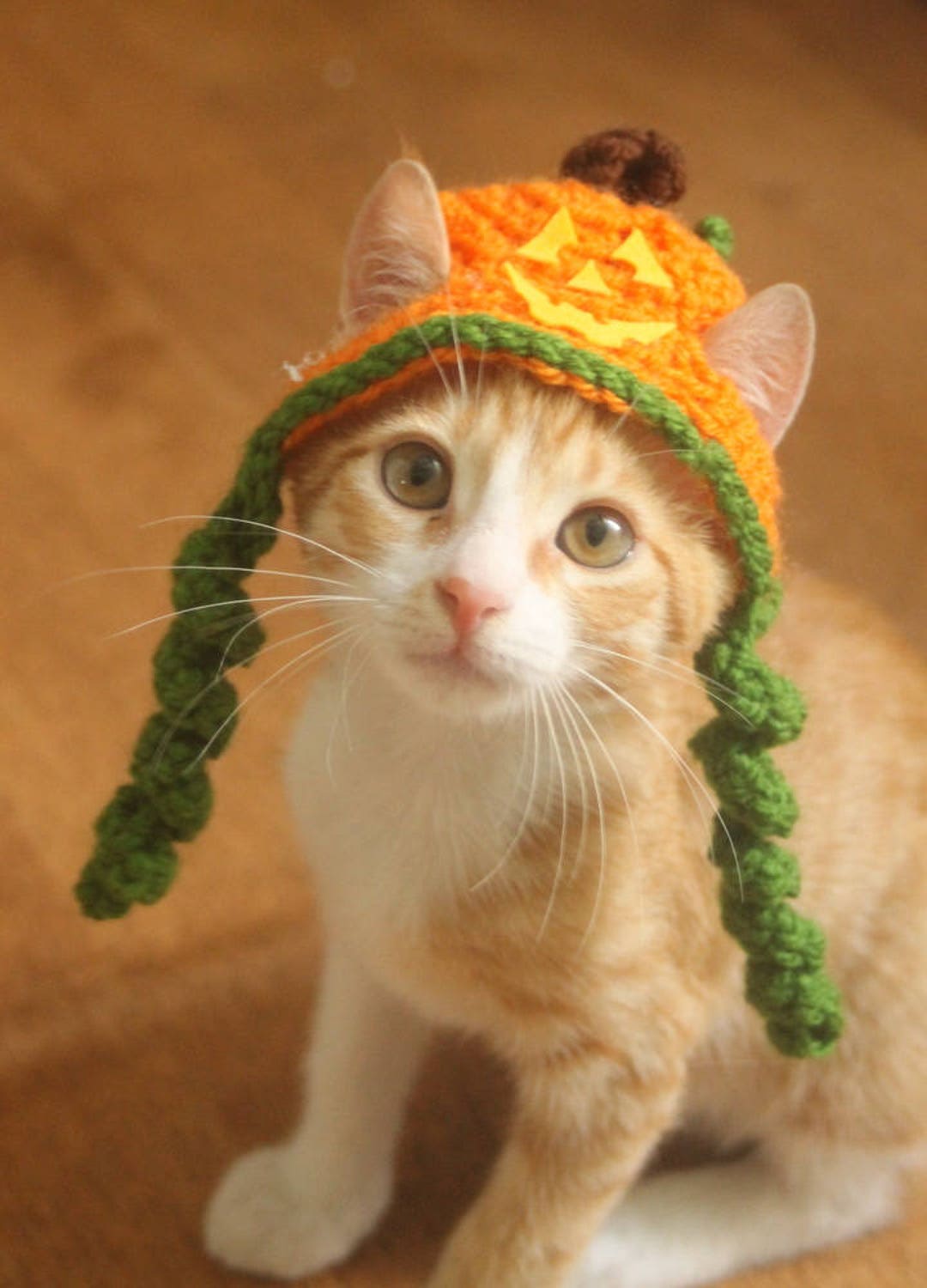 Jackolantern Cat Hat, Pumpkin Cat Hat, Halloween Cat Hat, Jack-o ...