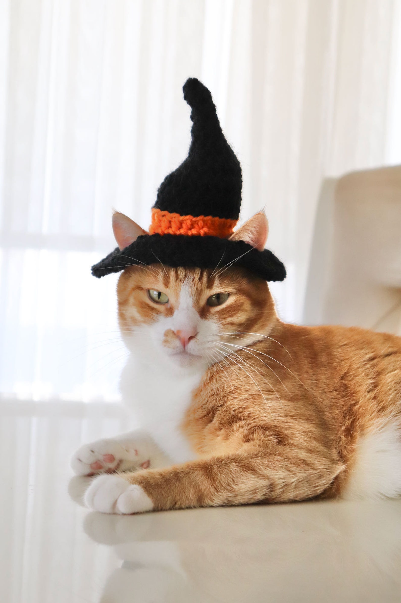 Witch Cat Hat Witch Hat for Cats Halloween Cat Costume - Etsy