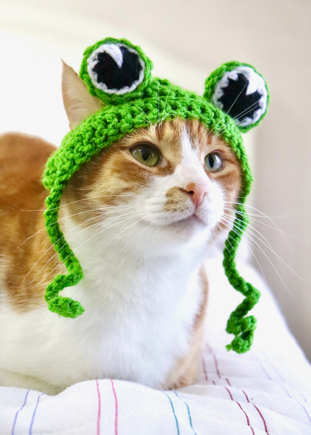 Frog Hat for Cats, Funny Feline Frog Accessory / Costume, Frog Hat With ...