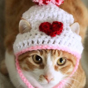 Valentines Day Hat for Cats, Heart Cat Hat, Valentines Day Cat ...