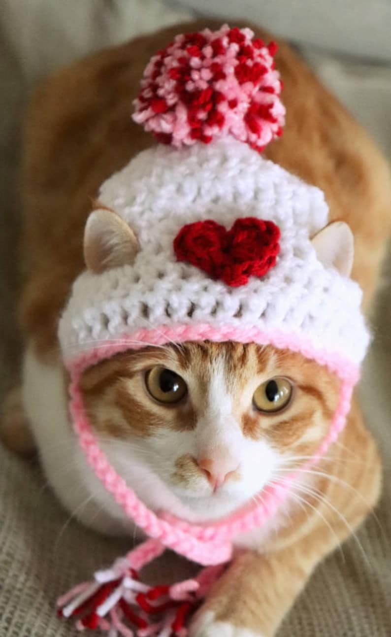 Valentines Day Hat for Cats Heart Cat Hat Valentines Day Cat | Etsy