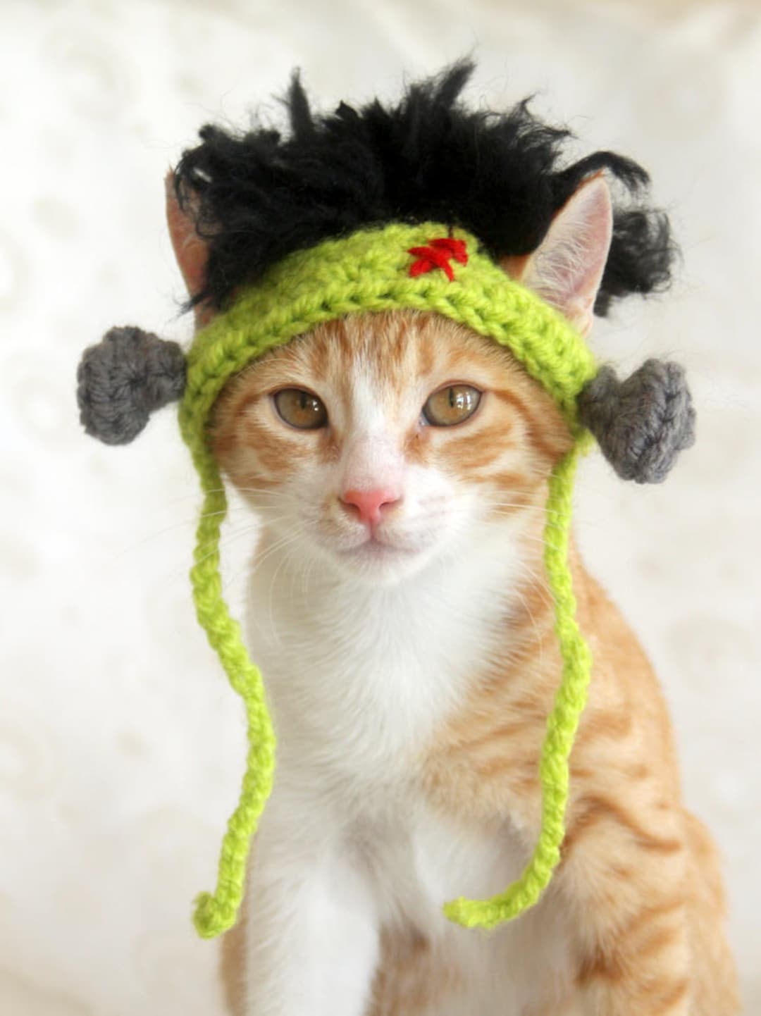 Frankenstein Cat Hat, Frankenstein Hat for Pets, Halloween Cat Hat ...