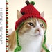 Crochet Apple Hat Pattern for Cats - Extra Small Dogs, Apple Cat Hat ...