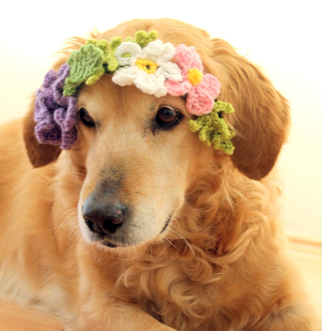 Flower Crown / Collar for Dogs, Pet Wedding Dog Flower Girl Accessory ...