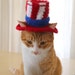 Uncle Sam Hat for Cats, 4th of July Cat Accessory, Independence Day ...
