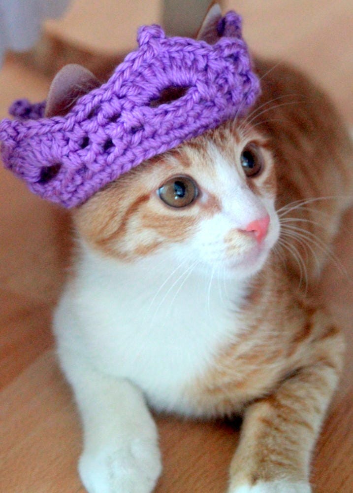Cat Crown Tiara for Cats and Small Dogs Princess / King / | Etsy