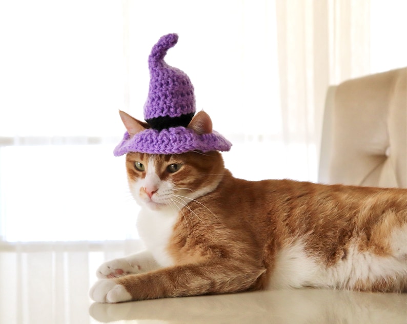Witch Cat Hat, Witch Hat for Cats, Halloween Cat Costume, Halloween Hat ...