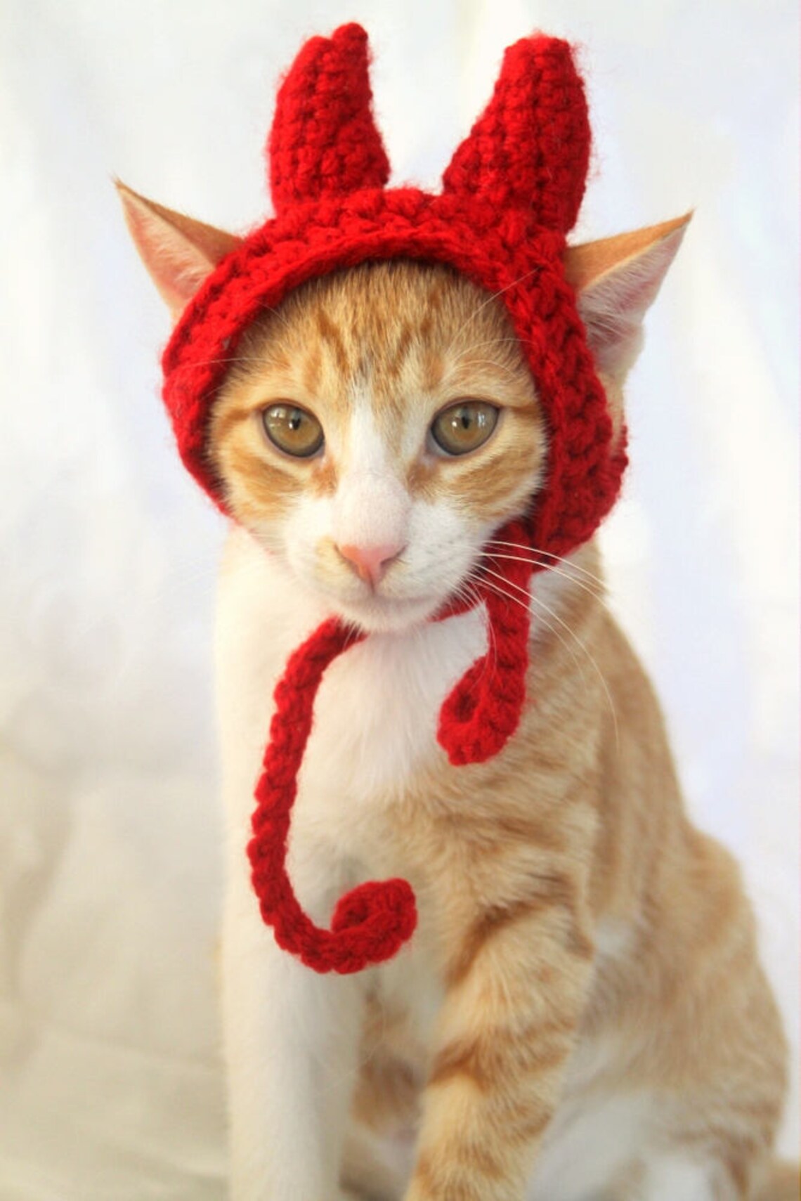 Devil Cat Hat Devil Pet Costume Devil Horns for Cats Devil | Etsy