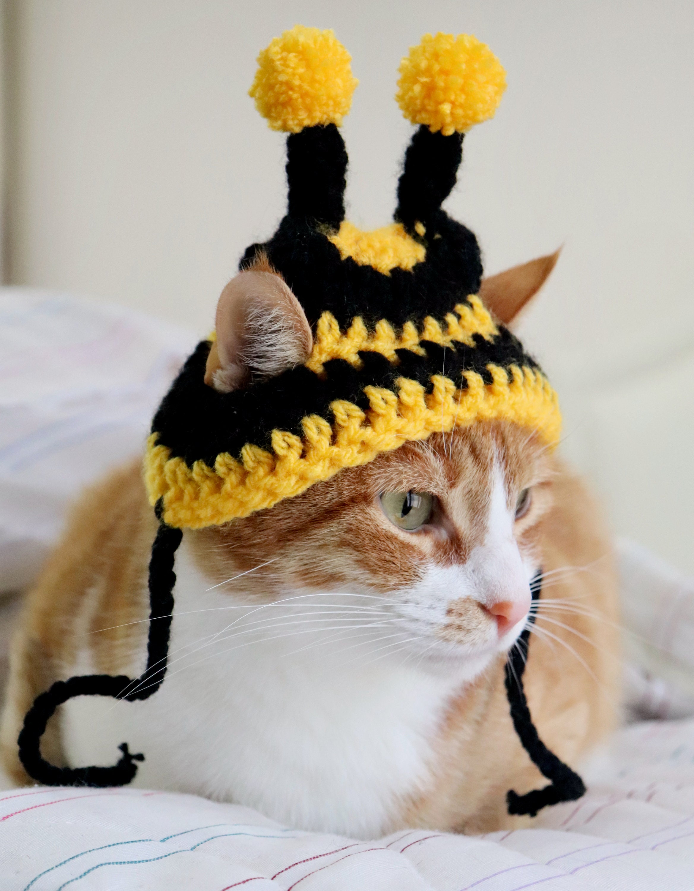 Crochet Pattern for Bumble Bee Cat Hat, Crochet Bee Hat Pattern for ...