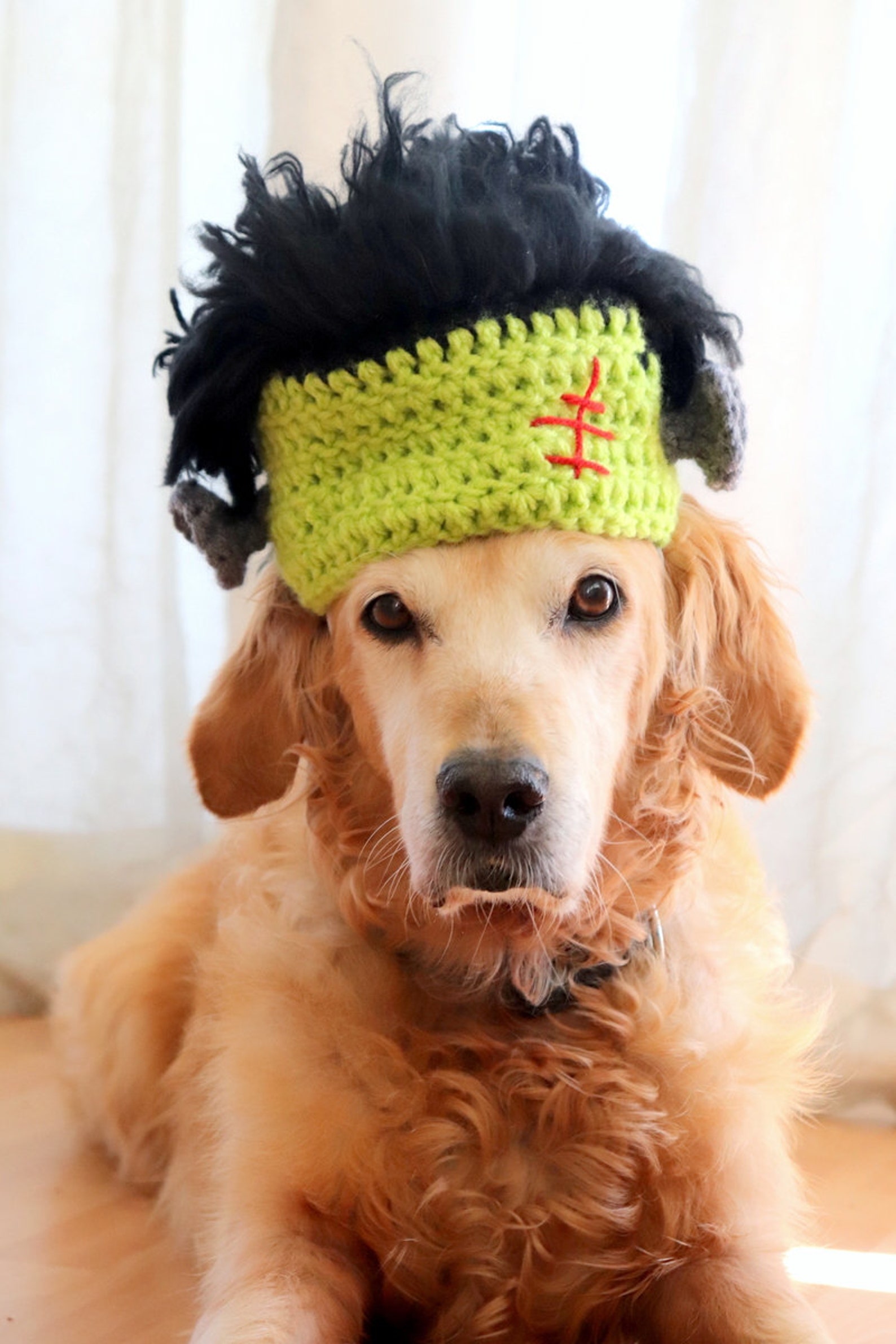 Frankenstein Hat for Dogs, Cute & Easy Monster Halloween Pet Costume ...