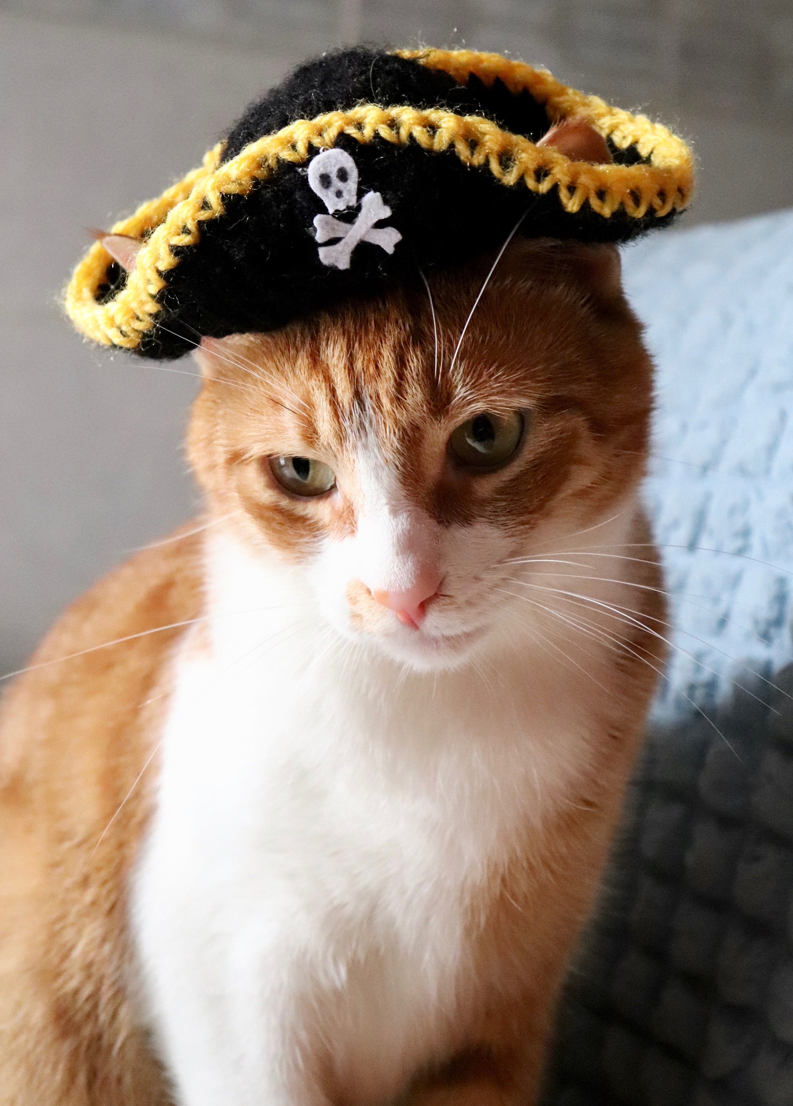 Crochet Pattern: Pirate Hat for Cats Crochet Pirate / - Etsy