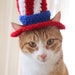 Uncle Sam Hat for Cats 4th of July Cat Accessory - Etsy