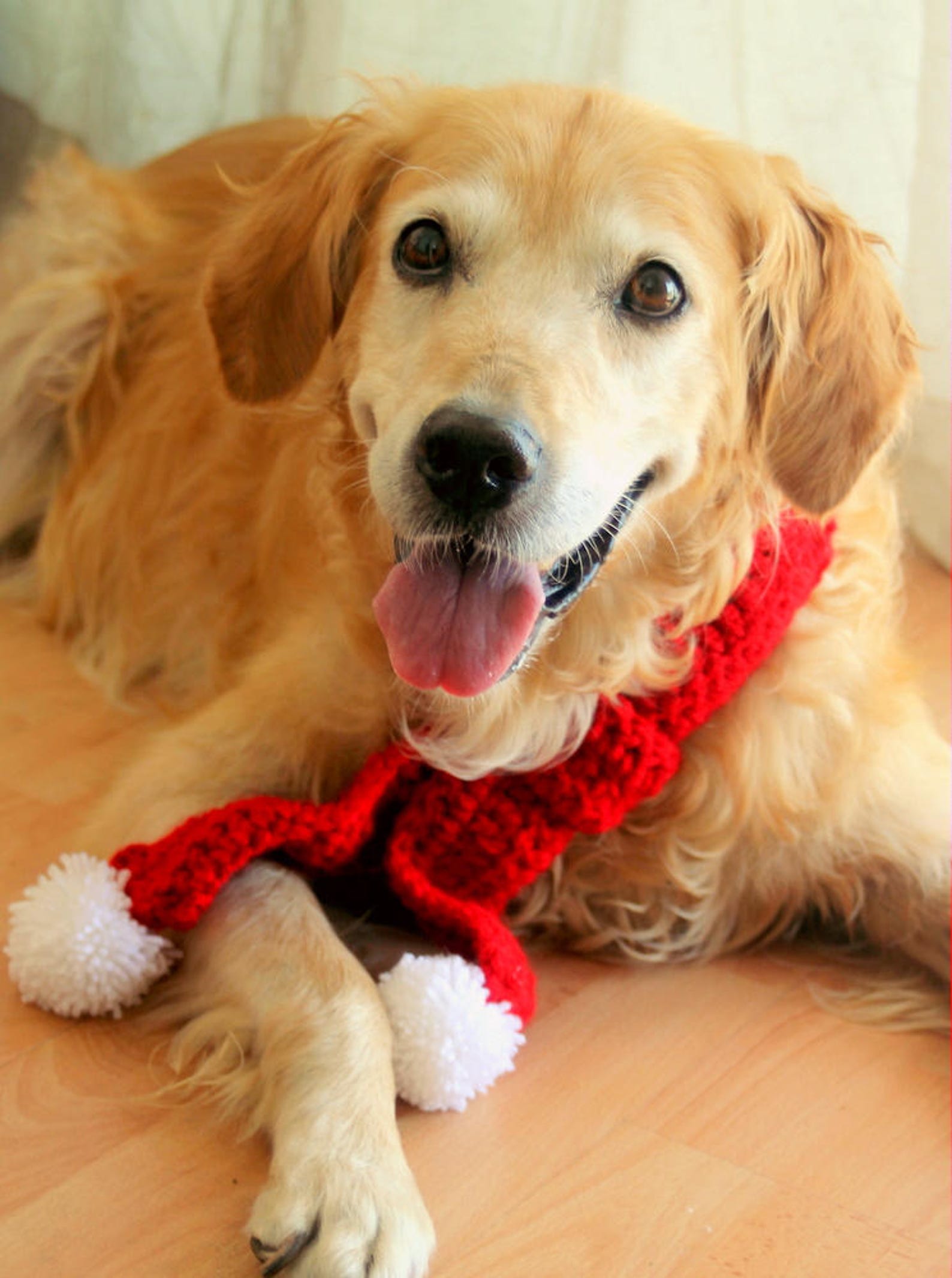 Dog Scarf, Christmas Scarf for Dogs, Puffball Dog Scarf, Adjustable Dog ...