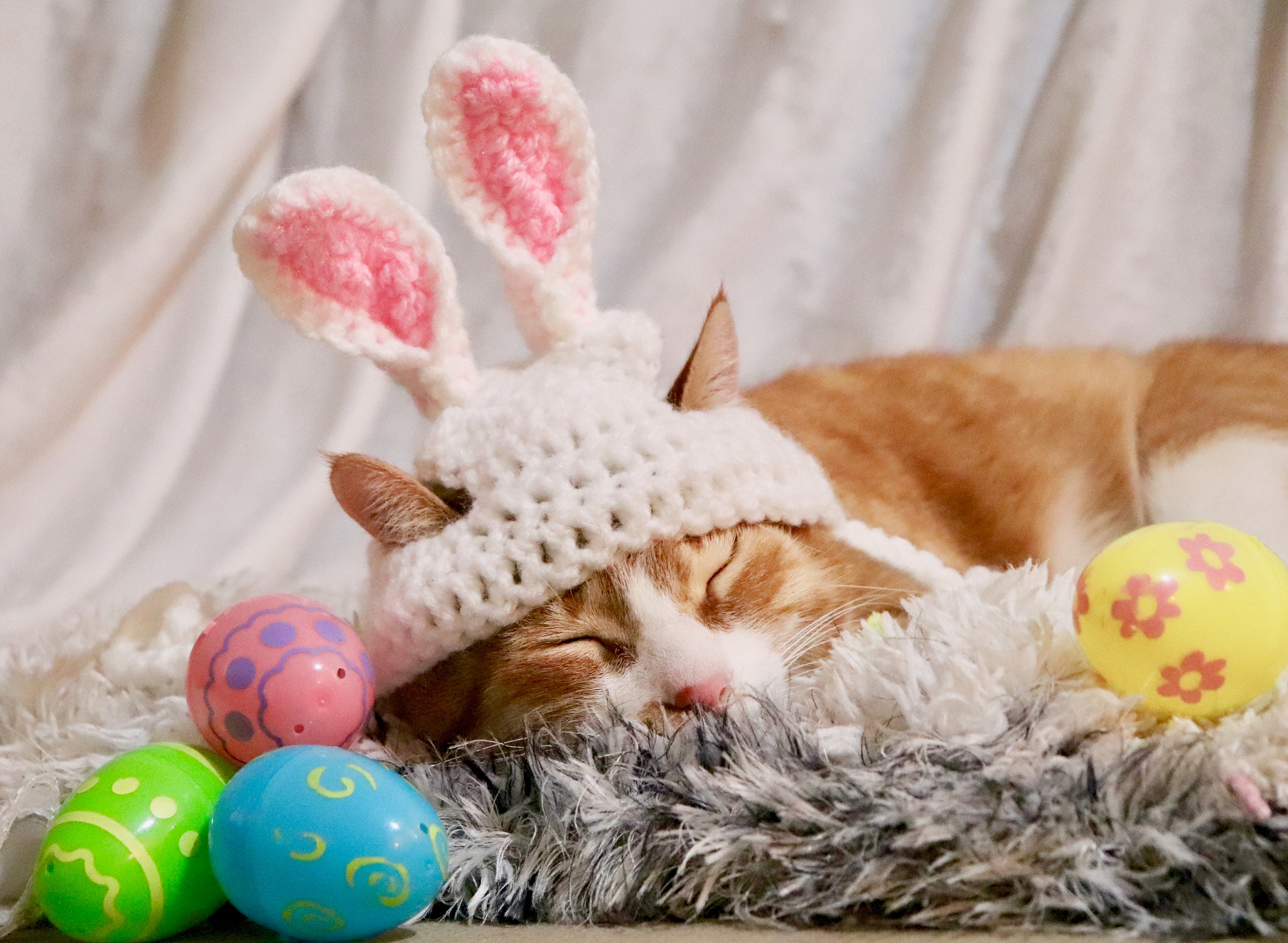 Bunny Ears for Cats Easter Bunny Costume for Cats Easter | Etsy