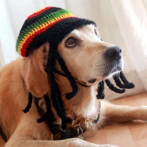Rasta Hat for Dogs Rastafarian Dog Hag With Dreadlocks Funny - Etsy