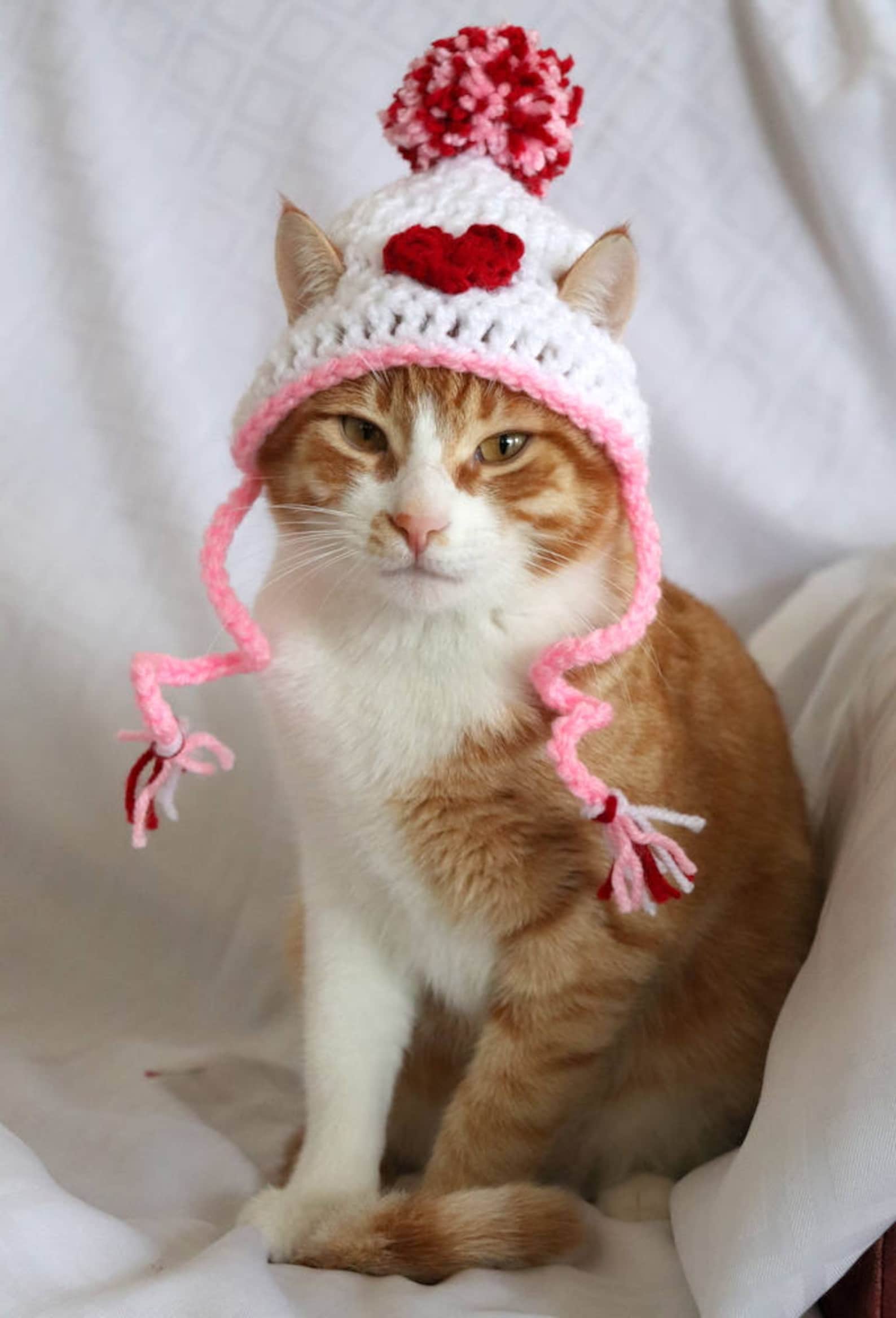 Valentines Day Hat for Cats Heart Cat Hat Valentines Day Cat - Etsy UK