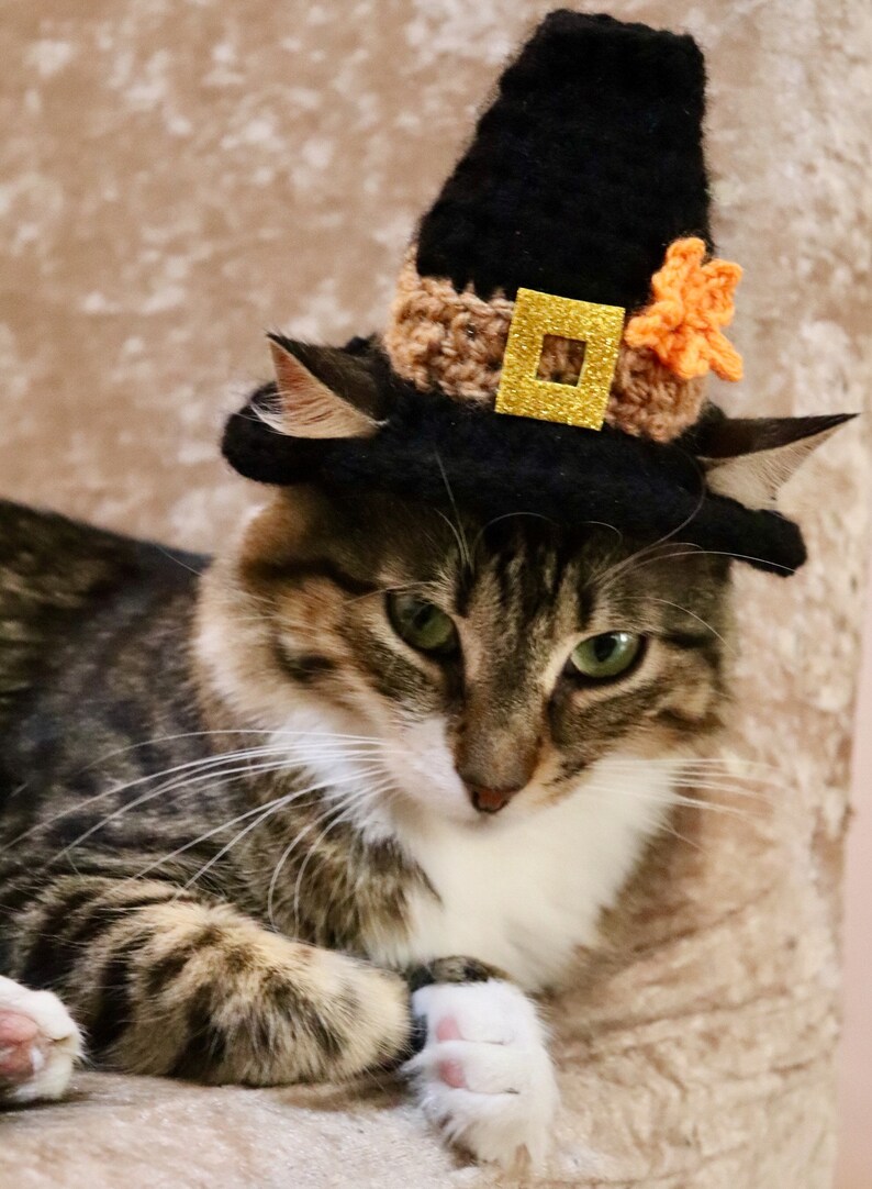 Thanksgiving Pilgrim Hat for Cats Colonial Pilgrim Cat Hat - Etsy