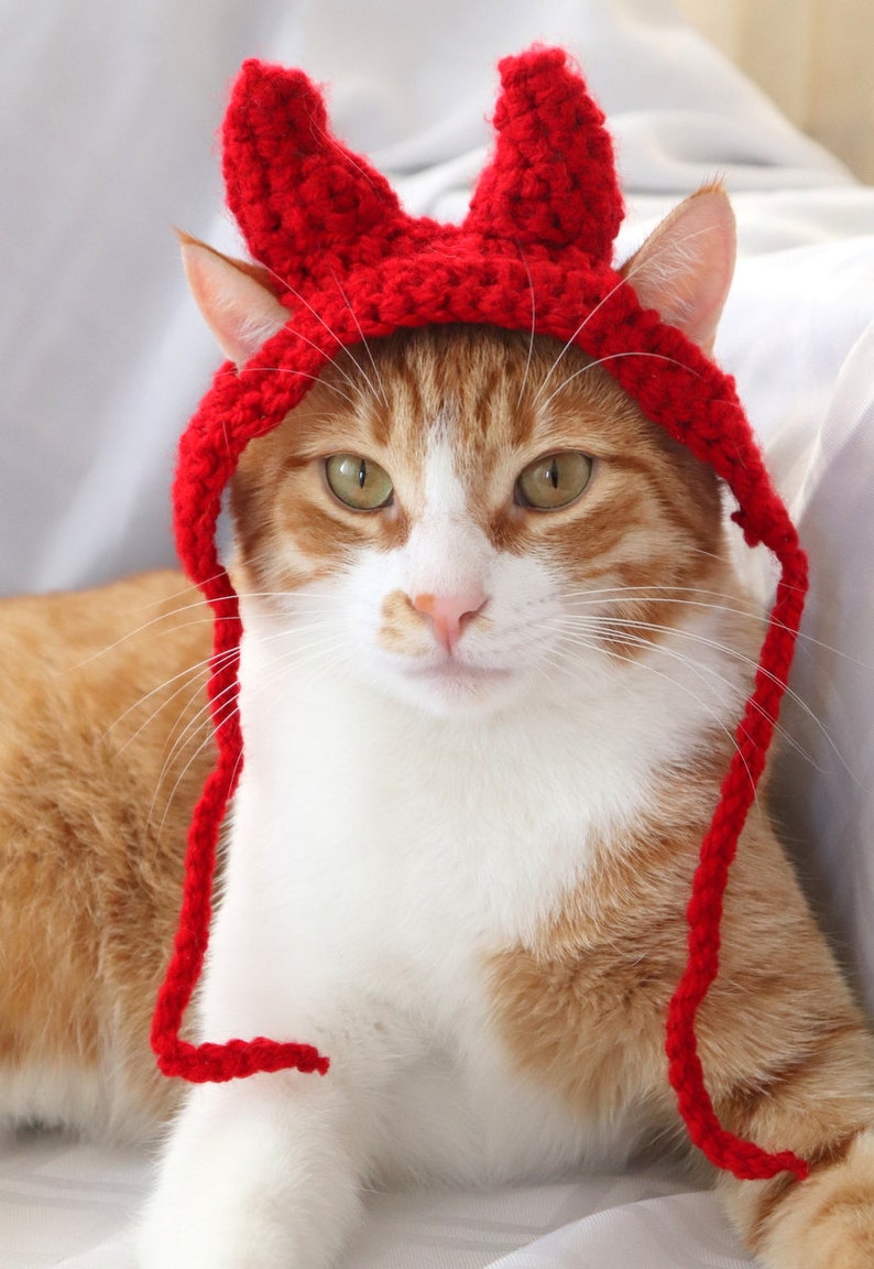 Crochet Pattern: Devil horn hat / headband for cats Crochet | Etsy