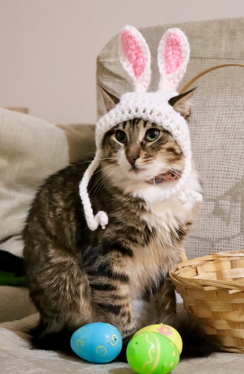 Crochet Pattern: Easter Bunny Ear Hat for Cats Rabbit Ear | Etsy