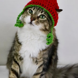 Apple Hat for Cats, Crochet Apple Hat for Cats, Kittens, and Small Dog ...