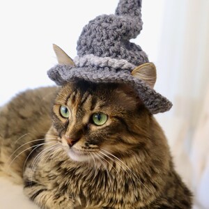 Wizard Cat Hat, Brown or Gray Wizard Hat for Cats With Ear Holes ...