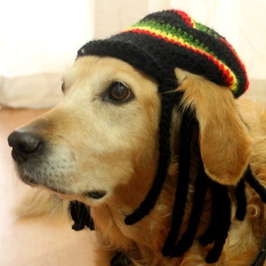 Rasta Hat for Dogs Rastafarian Dog Hag With Dreadlocks Funny - Etsy