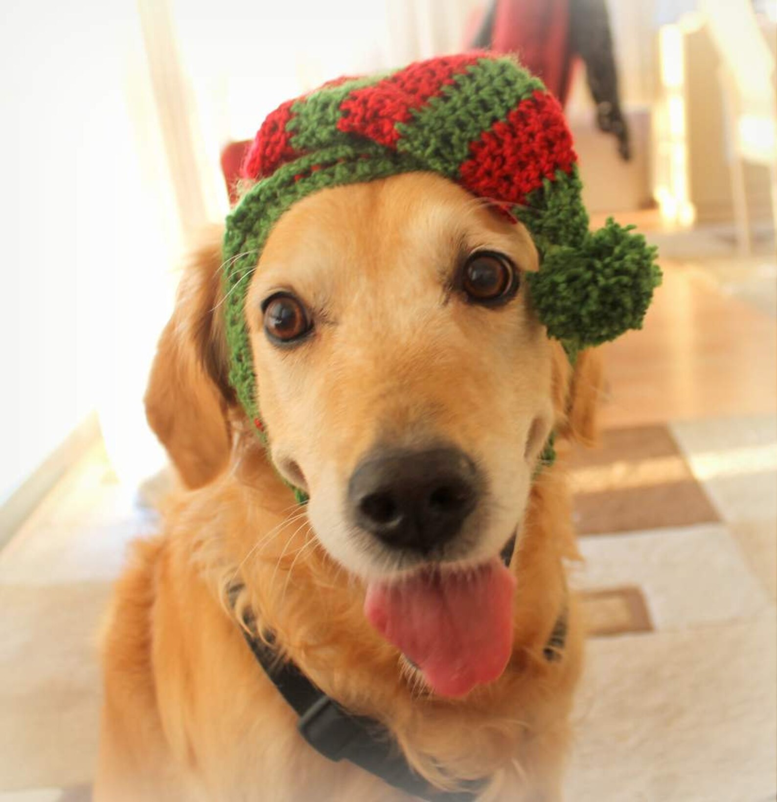 Santa's Helper Dog Hat Elf Hat for Dogs Dog Elf Hat - Etsy UK