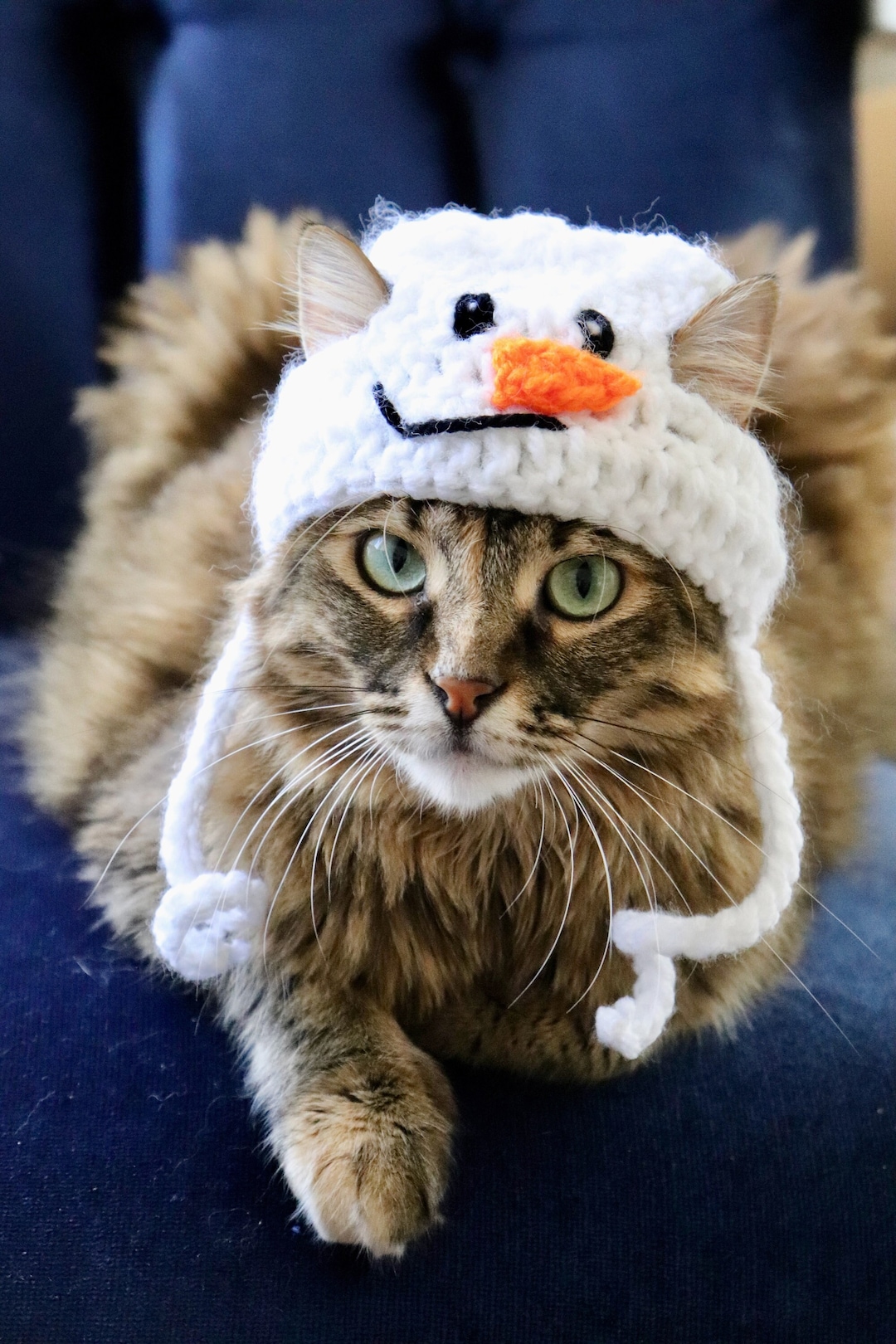 Snowman Hat for Cats, Winter Holiday Snow Man Face Cat Hat, Christmas ...